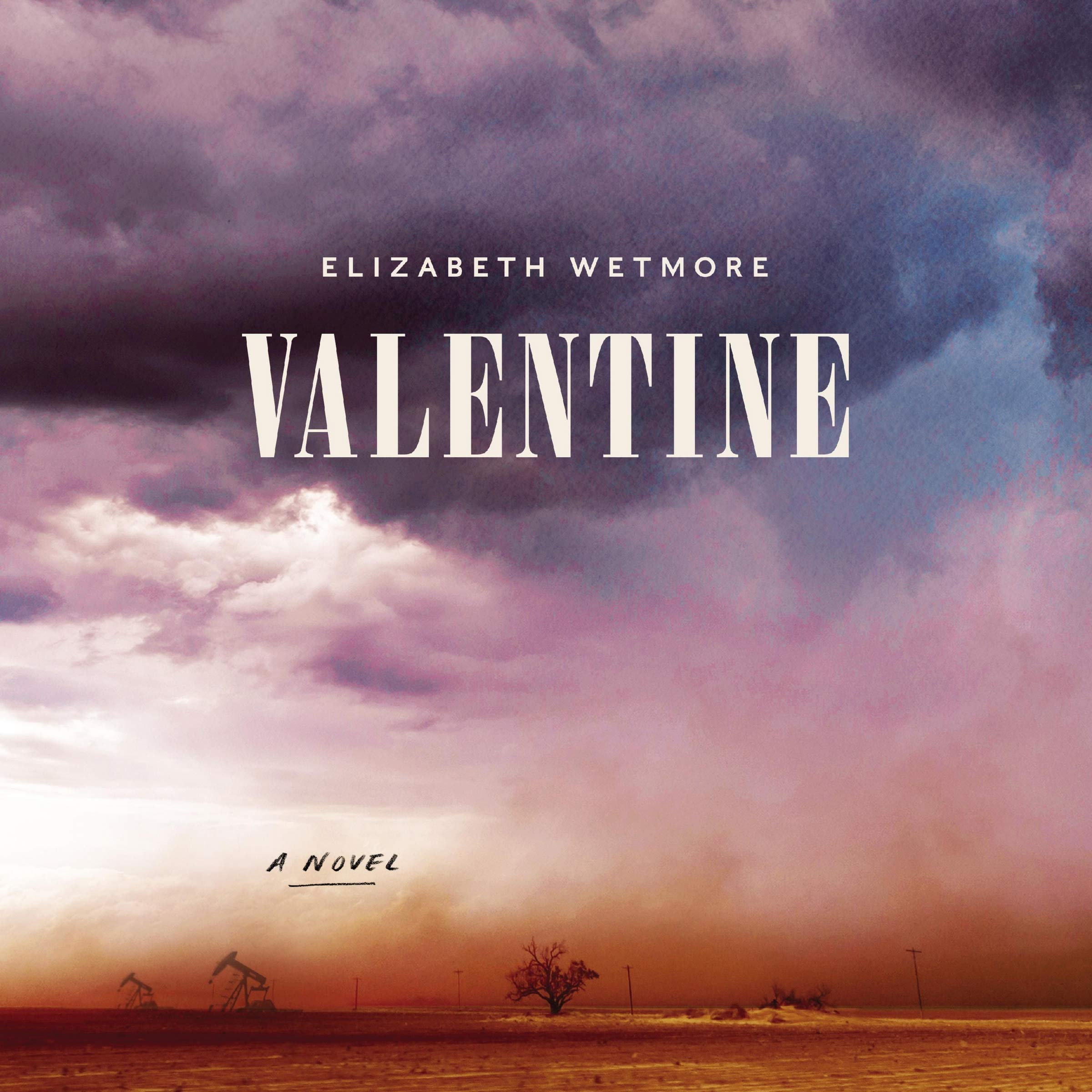 Review: Valentine by Elizabeth Wetmore | ghostvillehero